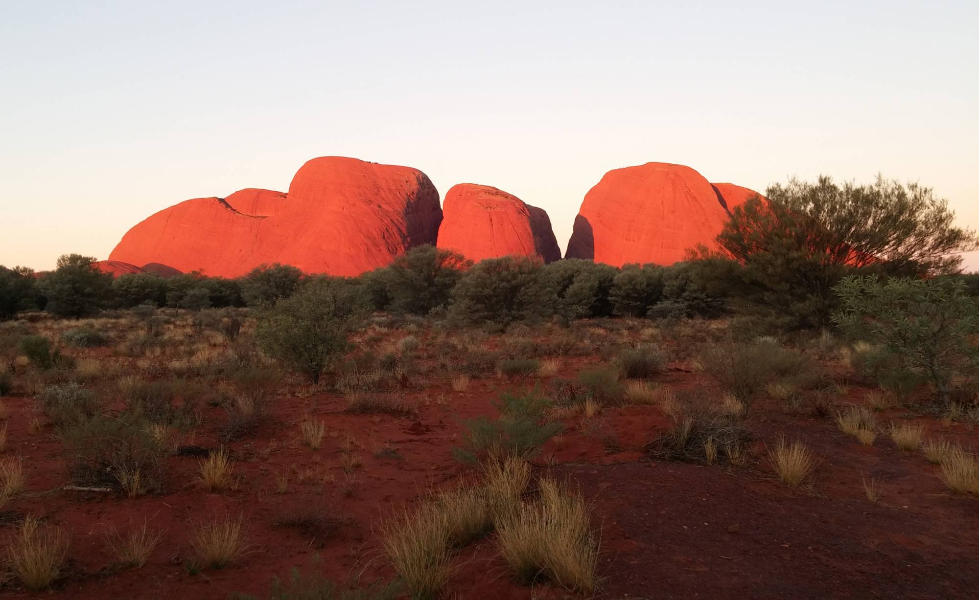 Australian Inspiration | Famous Australian Sayings & Quotes