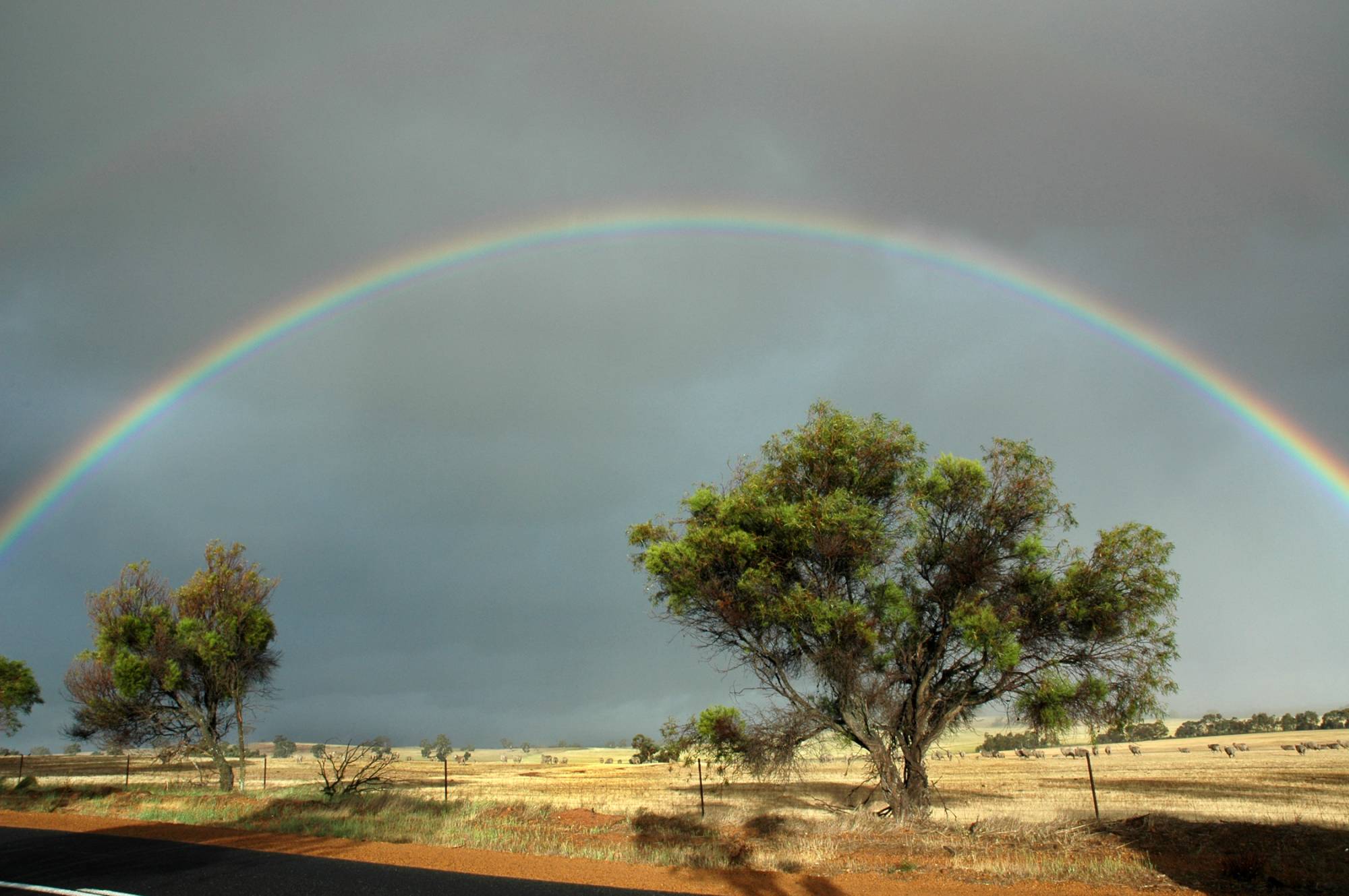 Australian Inspiration | Famous Australian Sayings & Quotes